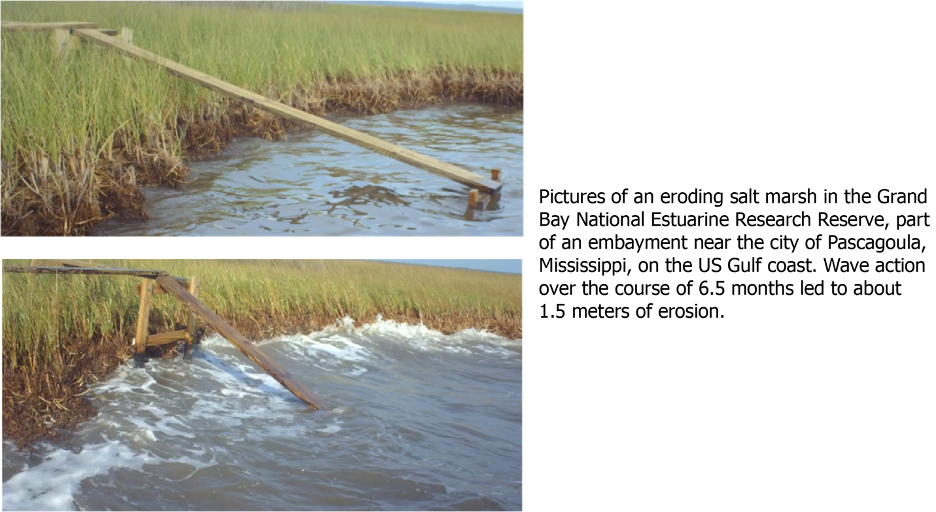 Models - dev.communitymodeling.org